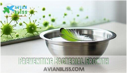 Parakeet Water Needs Explained: Complete Hydration Guide for Birds