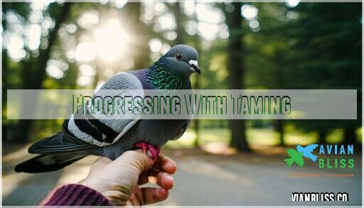 How to Tame Wild Pigeon: Step-by-Step Guide to Gaining Trust Fast