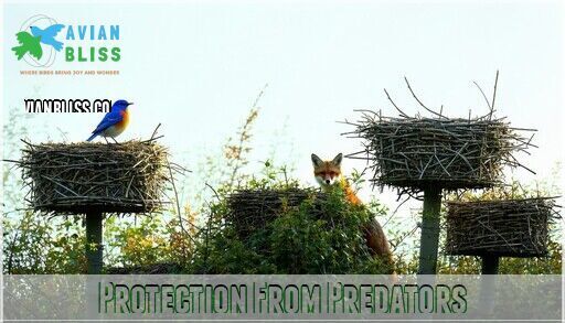 Types of Bird Sanctuaries: Complete Guide to Wildlife Protection