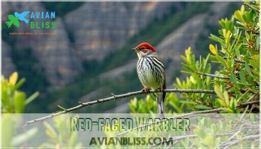 Red Headed Birds: 25+ Species With Photos & ID Guide (2025)