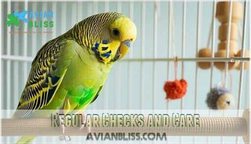 Why is My Parakeet Grinding His Beak? Normal Signs & Care Tips