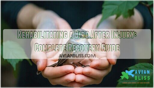 Rehabilitating a Bird After Injury: Complete Recovery Guide