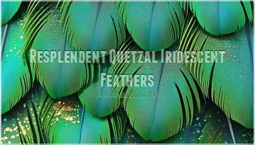 Unique Bird Feather Colors: Nature's Most Dazzling Displays Revealed