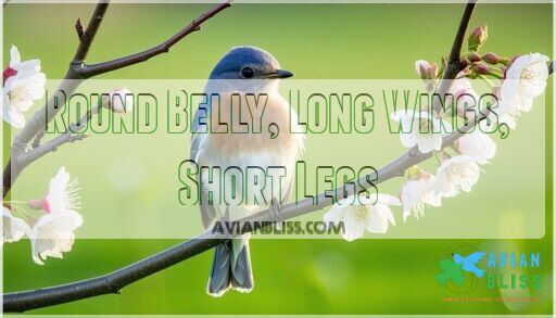 Eastern Bluebird Facts: Complete Guide to America's Beloved Blue Bird