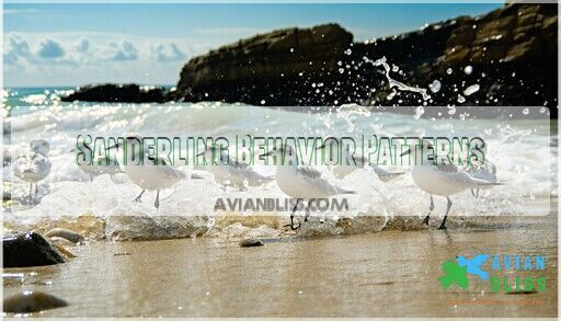 Sanderling Bird Guide: ID Tips, Behavior & Migration Secrets