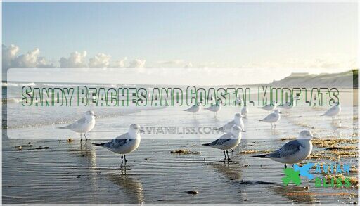 Sanderling Bird Guide: ID Tips, Behavior & Migration Secrets