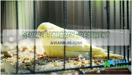 Bird Illness Symptoms Guide: Early Warning Signs & Emergency Care