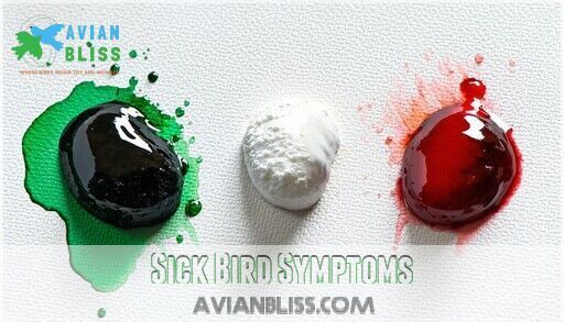Bird Diarrhea Color Meaning: What Your Pet's Droppings Reveal