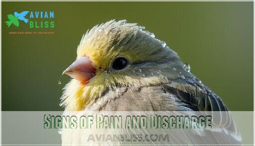 Treating a Bird Eye Injury: Quick Emergency Care Guide (2025)