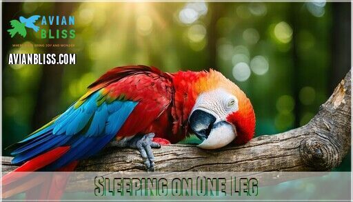 Bird Sleeping Positions Meaning: What Your Pet's Rest Says About Health