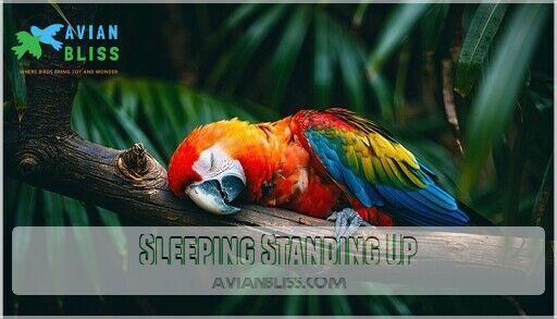 Bird Sleeping Positions Meaning: What Your Pet's Rest Says About Health