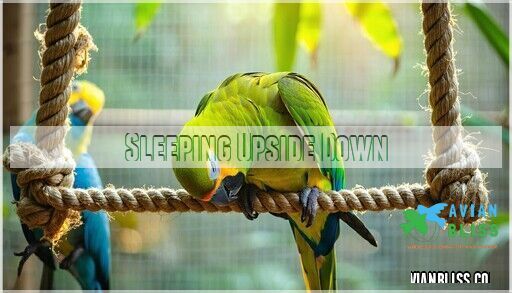 Bird Sleeping Positions Meaning: What Your Pet's Rest Says About Health