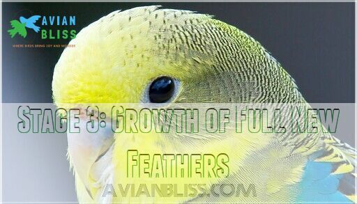 When Do Budgies Molt? Signs, Stages & Care Tips You Need to Know