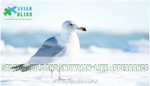 Glaucous Gull: Identification, Habitat, Diet & Migration Facts Explained