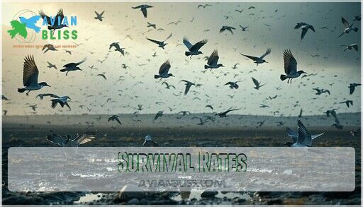 Migratory Bird Stopovers: Critical Rest Points for Migration Success