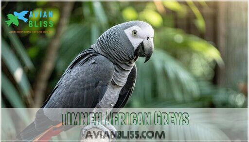 African Grey Parrot: Smart, Caring Guide & Health Facts (2025)