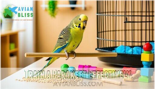 How to Train a Parakeet: 5 Simple Steps That Actually Work