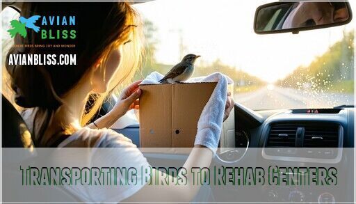 Find Local Bird Rescue Centers Near You - Emergency Wildlife Help