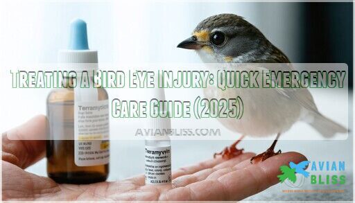 Treating Bacterial Infections in Birds: Symptoms, Antibiotics & Prevention