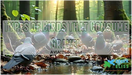 Why Do Birds Eat Gravel? The Surprising Digestive Secret Revealed