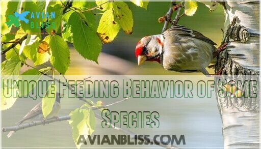 Finch Birds and Their Fascinating Facts: 25 Amazing Secrets Revealed