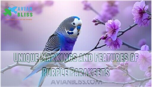 Purple Parakeets as Pets: Complete Guide for First-Time Buyers