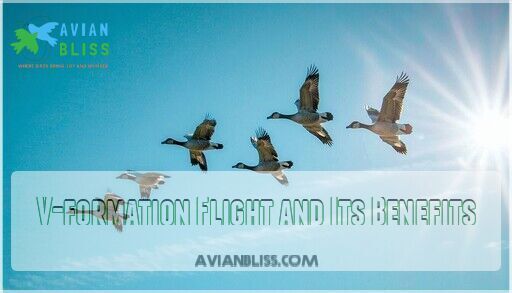 Birds That Migrate Alone Rarely: Why Most Fly in Flocks for Survival