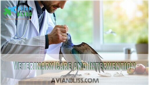 Common Types Bird Wing Injury: Signs, Treatment & Recovery Tips