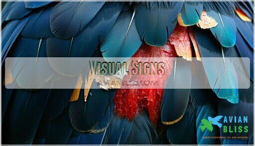 Bird Excessive Preening Health Concerns: Signs & Solutions