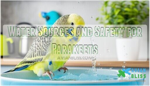 Parakeet Water Needs Explained: Complete Hydration Guide for Birds