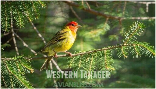 Red Headed Birds: 25+ Species With Photos & ID Guide (2025)