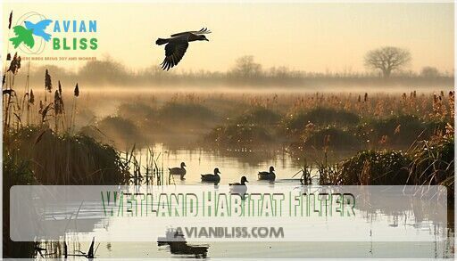 Bird Identification Guide United Kingdom | Interactive Species Tool