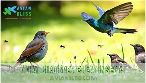 What Bird Species Eat Insects: Top Pest Control Birds for Your Yard