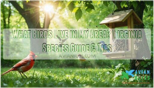What Birds Live in My Area? Virginia Species Guide & Tips