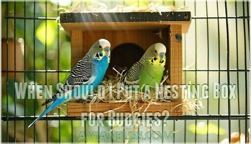 Nesting Material for Budgies: Best Options & What to Avoid