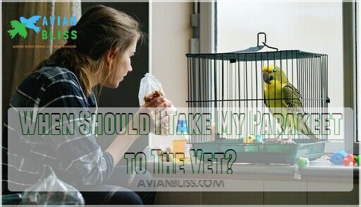 Why Does My Parakeet Have Diarrhea? Causes