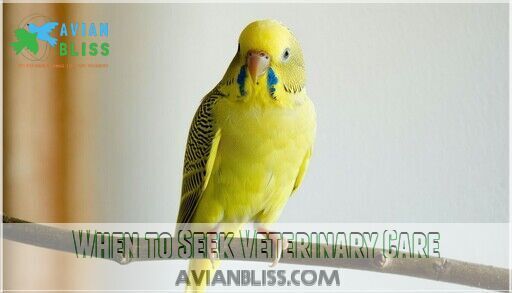 Pigeon Beak Need Treatment: Expert Care Guide for Common Issues