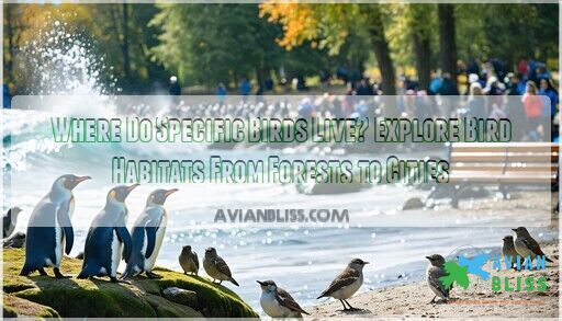Where Do Specific Birds Live? Explore Bird Habitats From Forests to Cities
