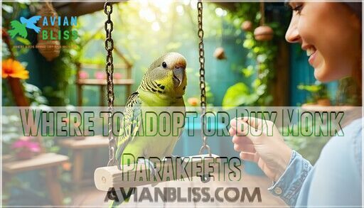 Monk Parakeets as Pets: Pictures, Cost, Temperament & Care Guide