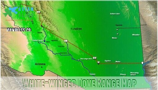 Doves in Arizona: 6 Species Guide With Photos & Calls (2025)