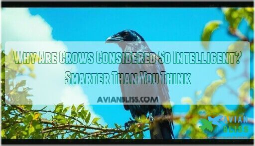 Why Are Crows Considered So Intelligent? Smarter Than You Think