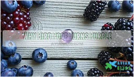 Why is Bird Poop Purple? Diet Secrets & Health Clues Revealed