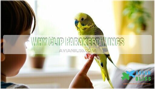 Why Clip Parakeet Wings: Safety Vs Flight Freedom Explained