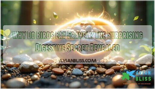 Why Do Birds Eat Gravel? The Surprising Digestive Secret Revealed