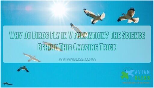 Why Do Birds Fly in V Formation? The Science Behind This Amazing Trick