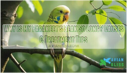 Why is My Parakeet's Beak So Long? Causes & Treatment Tips