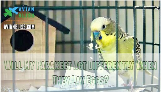 Do Parakeets Need a Nest in Their Cage? Essential Nesting Facts Inside