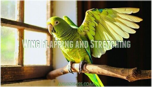 Bird Body Language Explained: Health Signs Every Owner Should Know