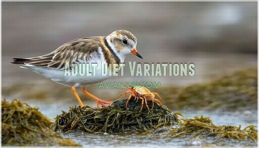 Ruddy Turnstone Guide: Habitat, Diet, Breeding & Migration Facts