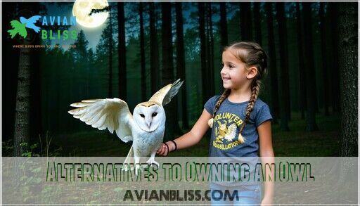 Can You Have an Owl as a Pet? Legal Facts & Restrictions 2025